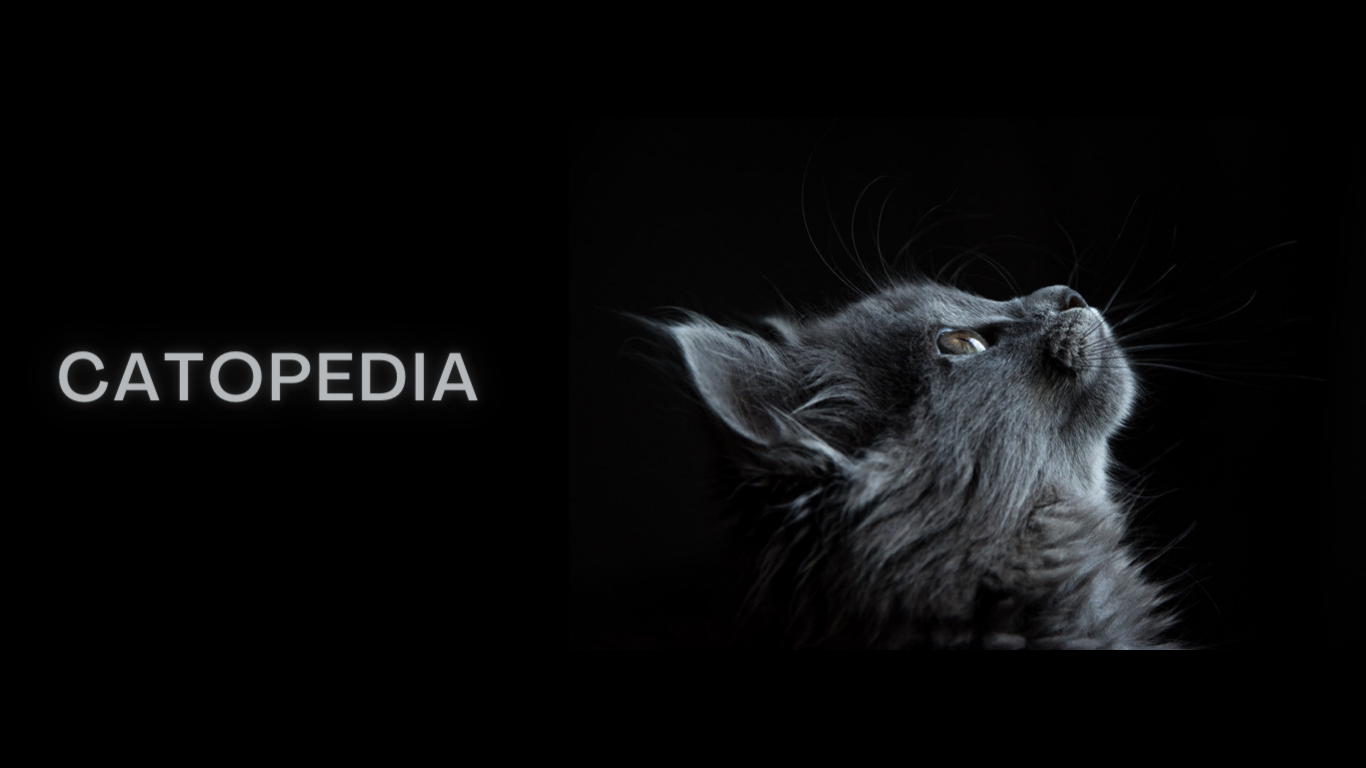Catopedia